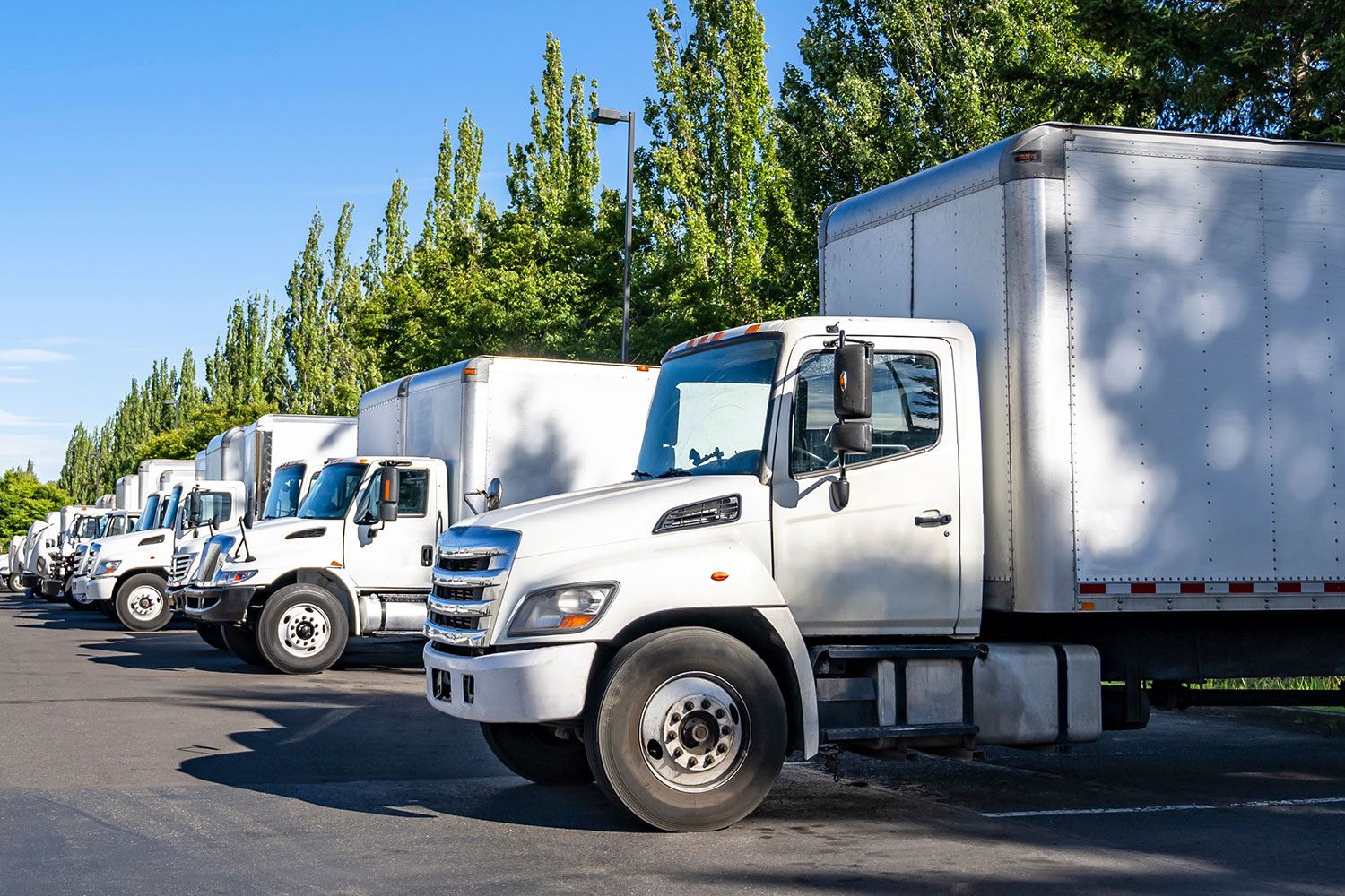 Dedicated Logistics & Fleet Services | ASL Transportation